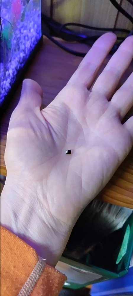 Kmart Anko 12L Betta Fish Tank reviews | ProductReview.com.au