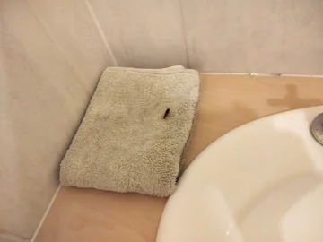 Stayz reviews | ProductReview.com.au