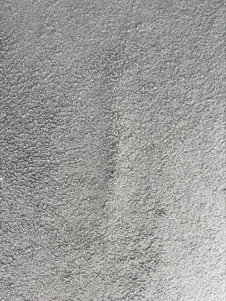 Carpet Call reviews | ProductReview.com.au