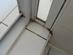 Glassguard Miracle Mould Removal Gel reviews | ProductReview.com.au