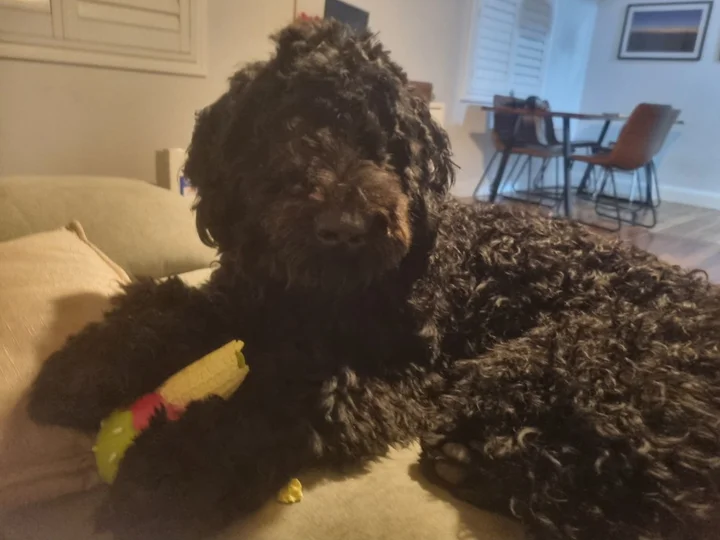 Tamaruke reviews | ProductReview.com.au