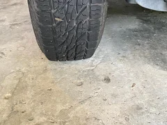 Rapid Ecolander AT reviews | ProductReview.com.au