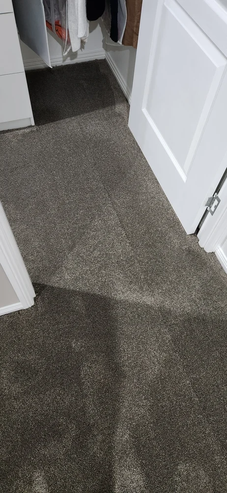 Carpet Call Carpet Flooring reviews | ProductReview.com.au