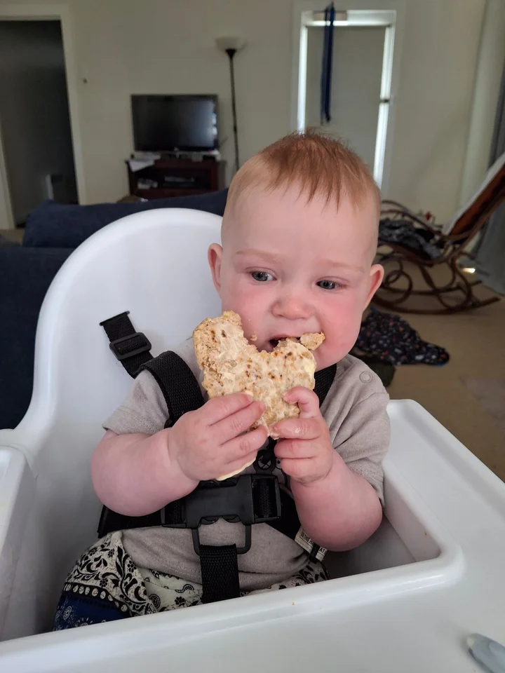 Nibble and Rest reviews | ProductReview.com.au