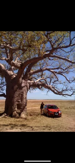 RAC Roadside Assistance reviews | ProductReview.com.au