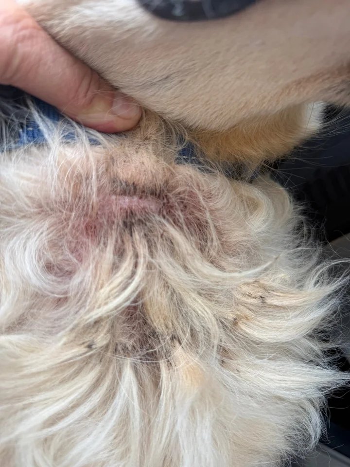 Hanrob reviews | ProductReview.com.au