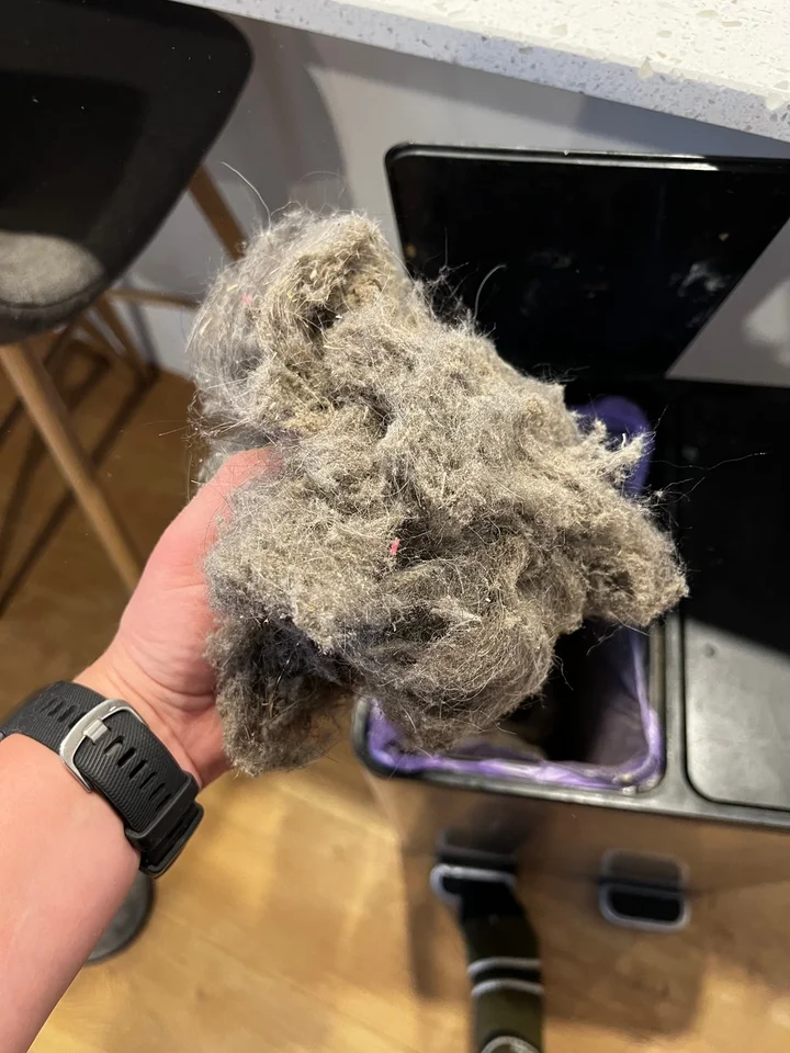 Shark IZ102 reviews | ProductReview.com.au