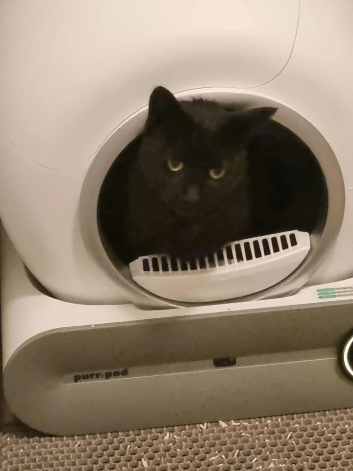 Purr-Pod Smart Litter Box reviews | ProductReview.com.au