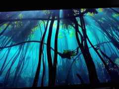 Best EKO TVs in 2025 as reviewed by Australian consumers ...