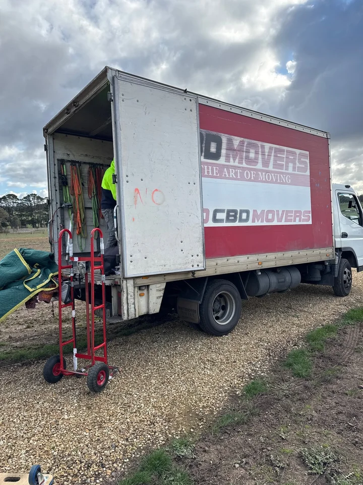 CBD Movers reviews | ProductReview.com.au