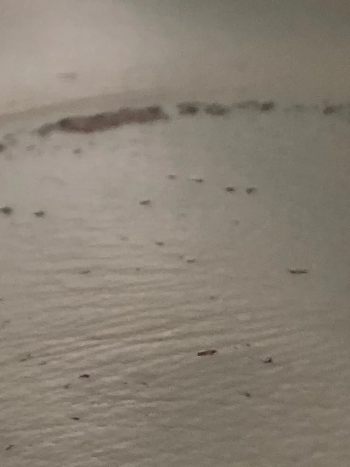 Garstone Design reviews | ProductReview.com.au