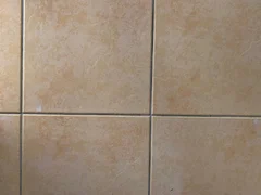 Long Life Grout Cleaner reviews | ProductReview.com.au