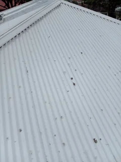 Bio-Shield 5L Outdoor Cleaner Concentrate reviews | ProductReview.com.au