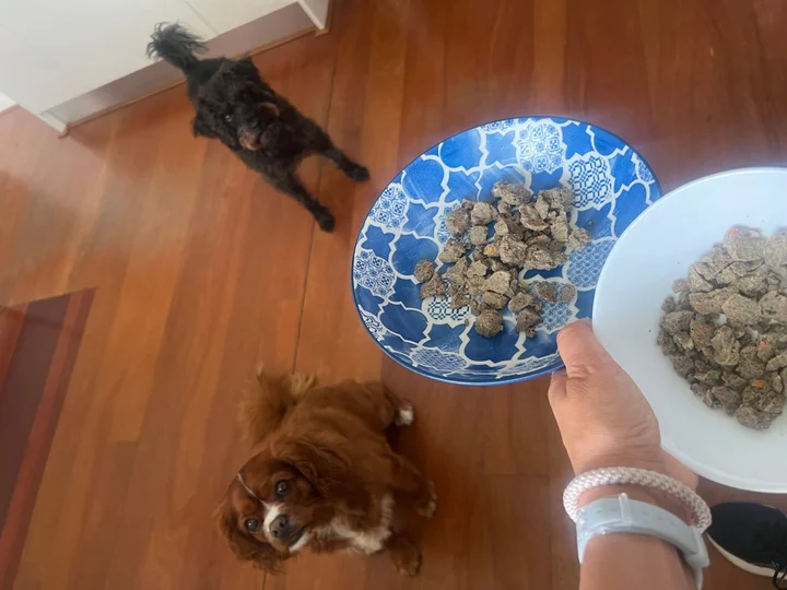 Lyka Pet Food reviews | ProductReview.com.au