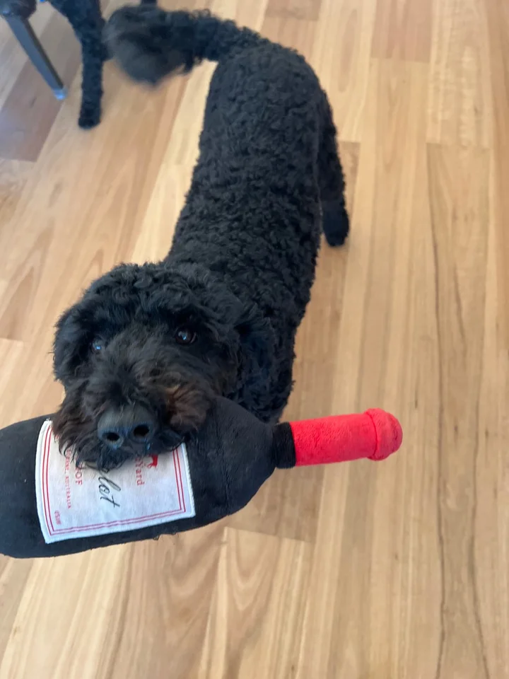 Tamaruke reviews | ProductReview.com.au