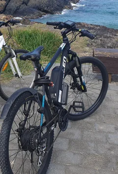 Best Electric Bikes in 2025 as reviewed by Australian consumers ...
