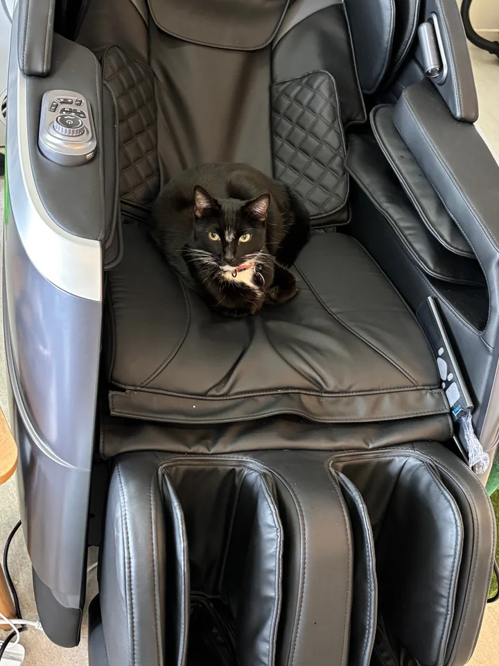 Masseuse Health Co. Physio+ Massage Chair reviews | ProductReview.com.au