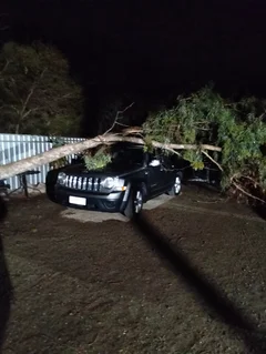 RAA Car Insurance reviews | ProductReview.com.au