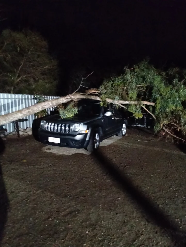 RAA Car Insurance reviews | ProductReview.com.au