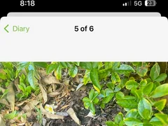 The Tap Doctor reviews | ProductReview.com.au