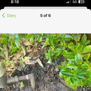 The Tap Doctor reviews | ProductReview.com.au