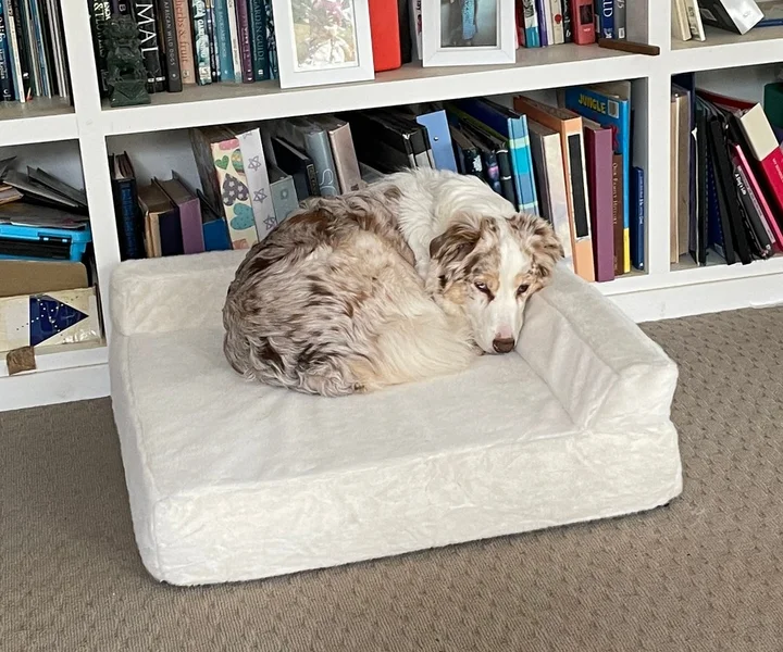 Kippi reviews | ProductReview.com.au
