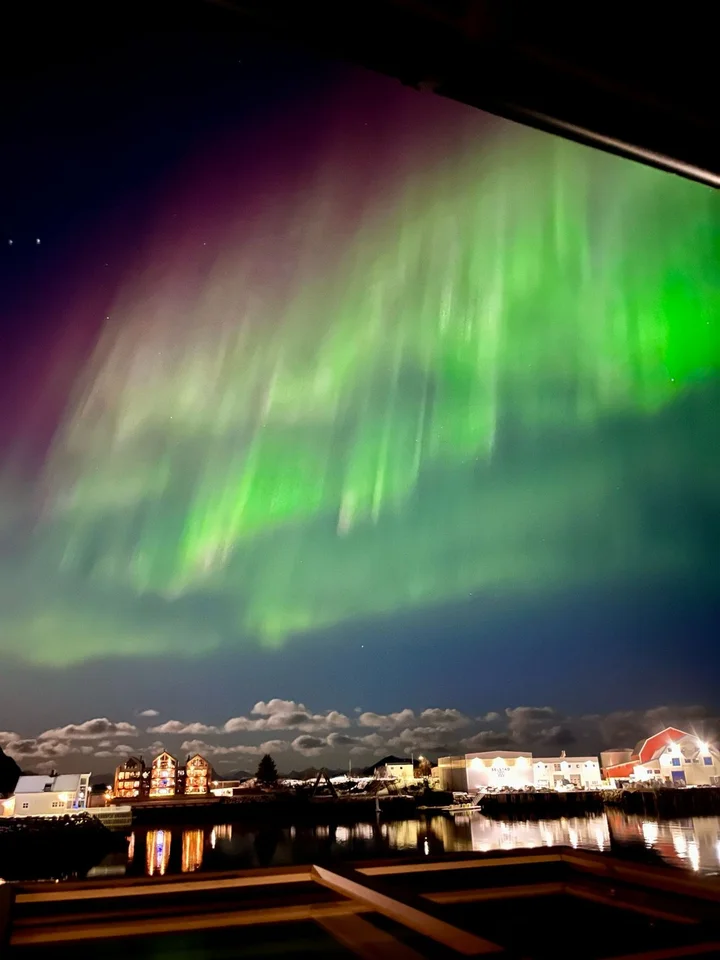 Freely Travel Insurance reviews | ProductReview.com.au