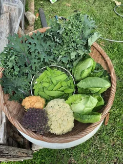 Happy Valley Seeds reviews | ProductReview.com.au