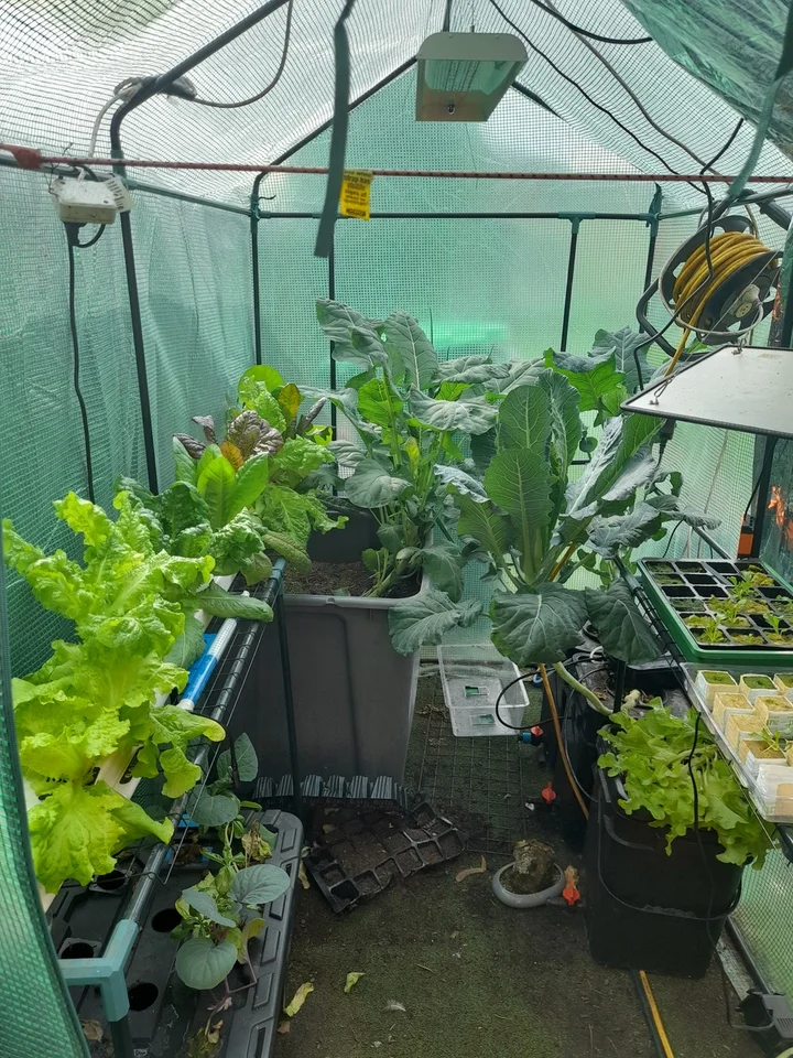 Happy Valley Seeds reviews | ProductReview.com.au