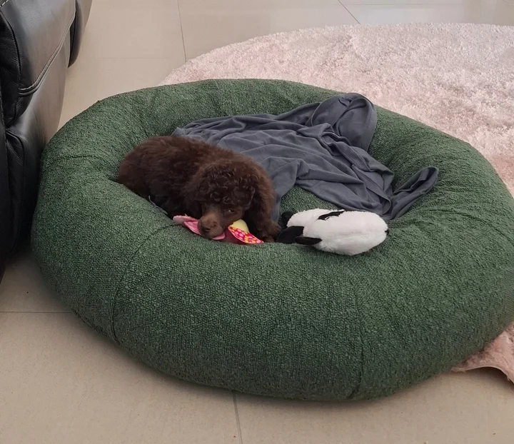 Sash Beds reviews | ProductReview.com.au