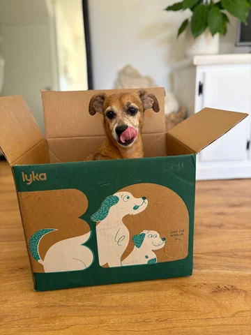 Lyka Pet Food reviews | ProductReview.com.au