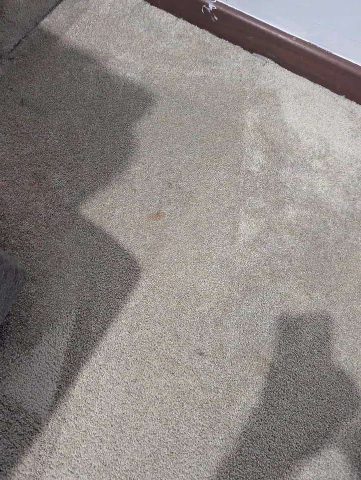 Electrodry reviews | ProductReview.com.au