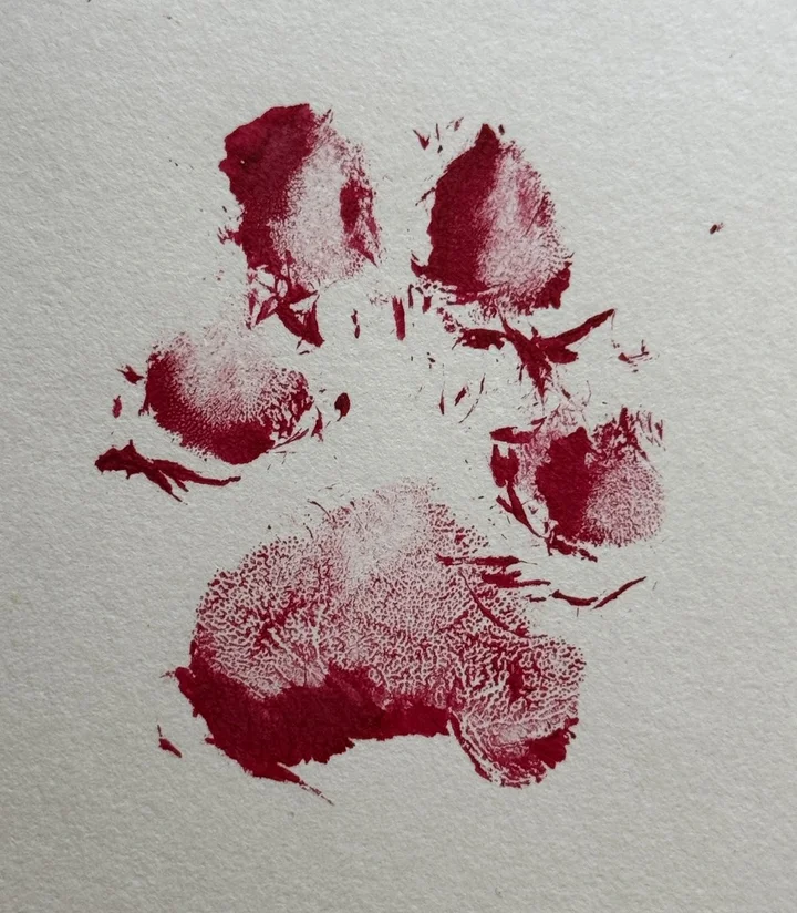 Deja Marc reviews | ProductReview.com.au