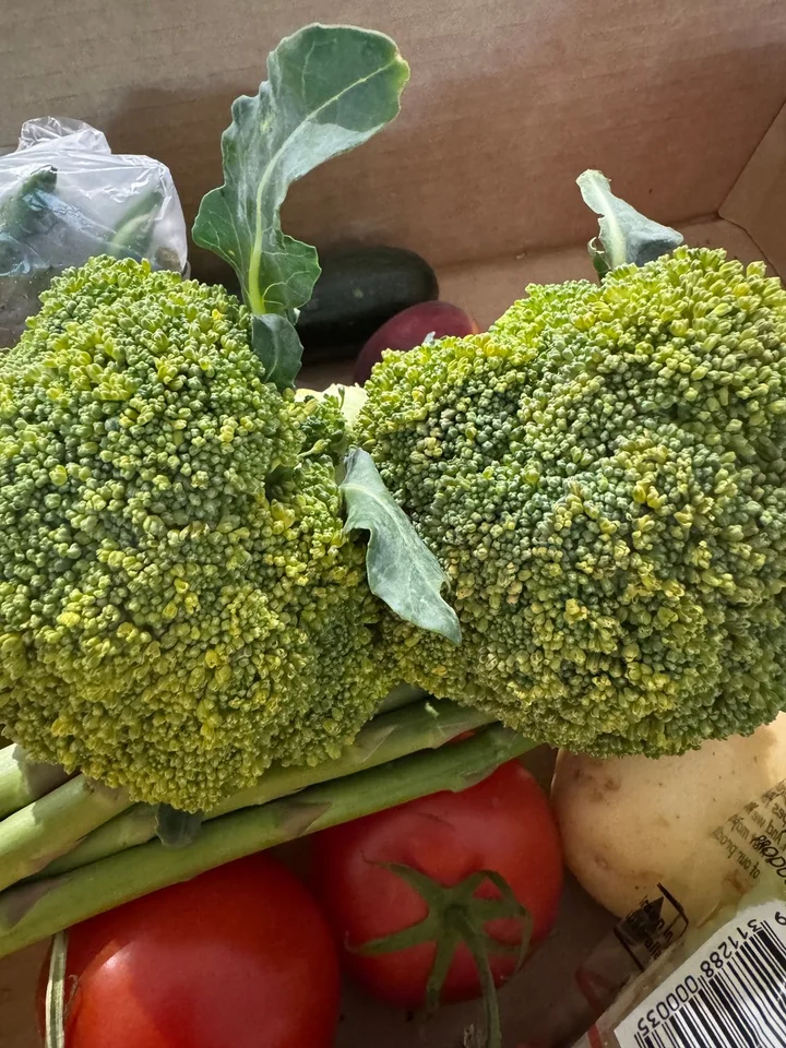 Fruitastic reviews | ProductReview.com.au