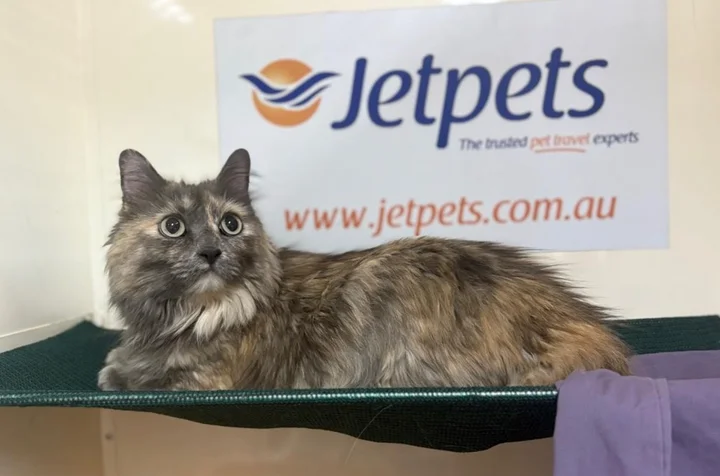 Jetpets reviews | ProductReview.com.au