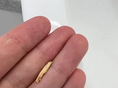 ALDI Sprinters Original Crinkle Cut Potato Chips reviews ...