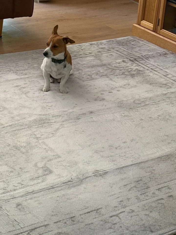 Muscle Mat Relax Mat - Soft Touch Tatami Rug reviews | ProductReview.com.au