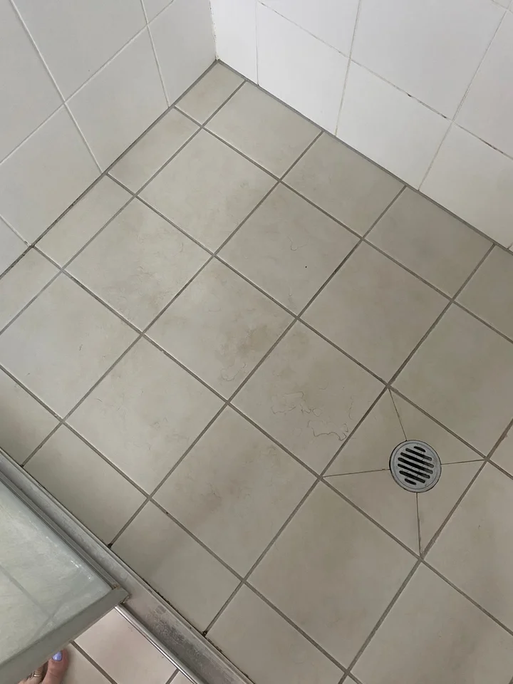 Absolute Domestics reviews | ProductReview.com.au