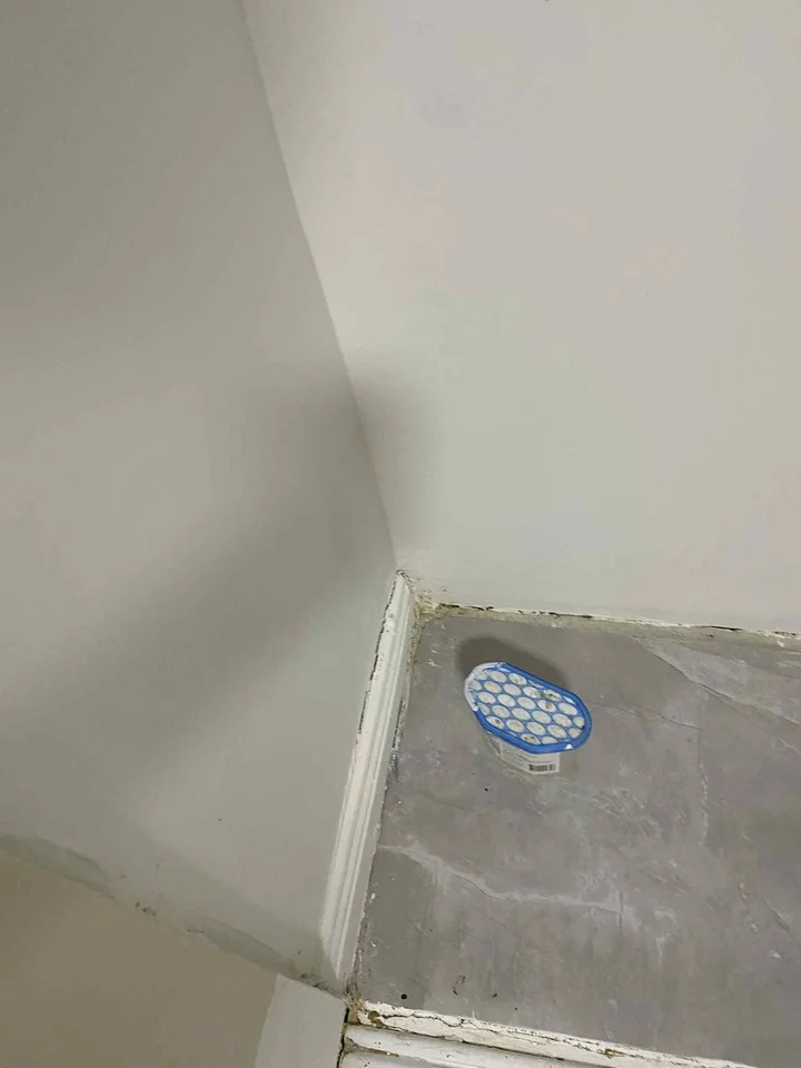 Stayz reviews | ProductReview.com.au