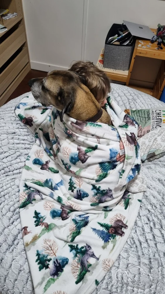 CloudBag reviews | ProductReview.com.au