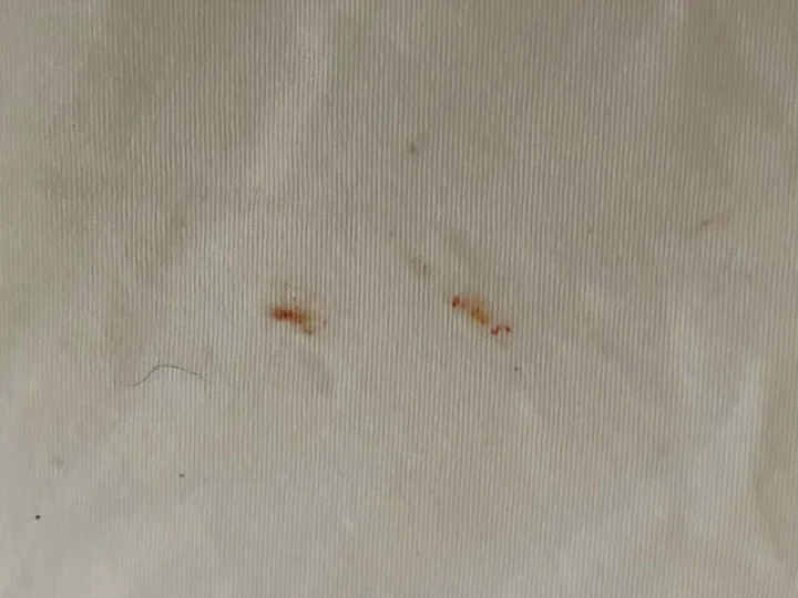 Stayz reviews | ProductReview.com.au