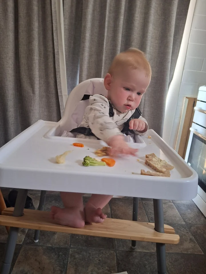 Nibble and Rest reviews | ProductReview.com.au