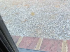 Southern Star Windows & Doors reviews | ProductReview.com.au