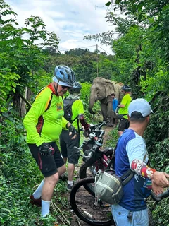 Tick Travel Insurance reviews | ProductReview.com.au