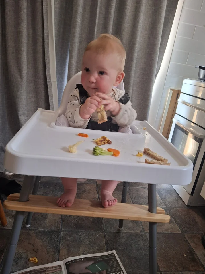 Nibble and Rest reviews | ProductReview.com.au