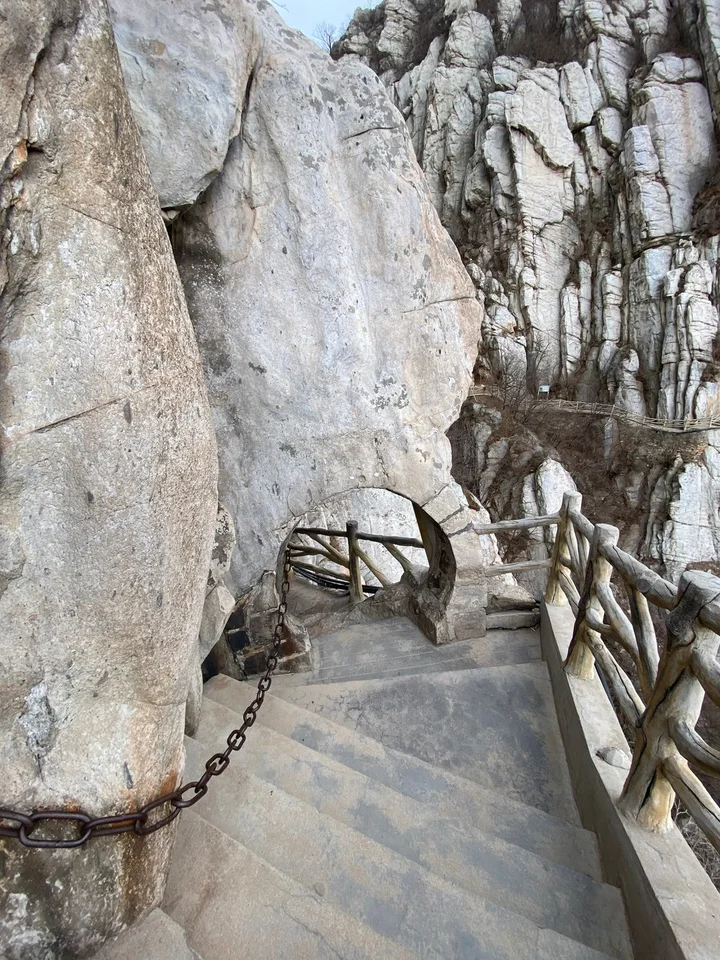 Freely Travel Insurance reviews | ProductReview.com.au