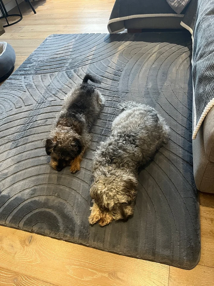 Muscle Mat Relax Mat - Soft Touch Tatami Rug reviews | ProductReview.com.au