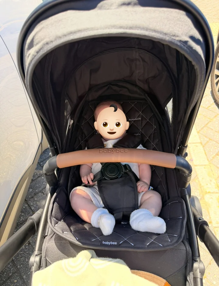 Babybee Rover reviews | ProductReview.com.au