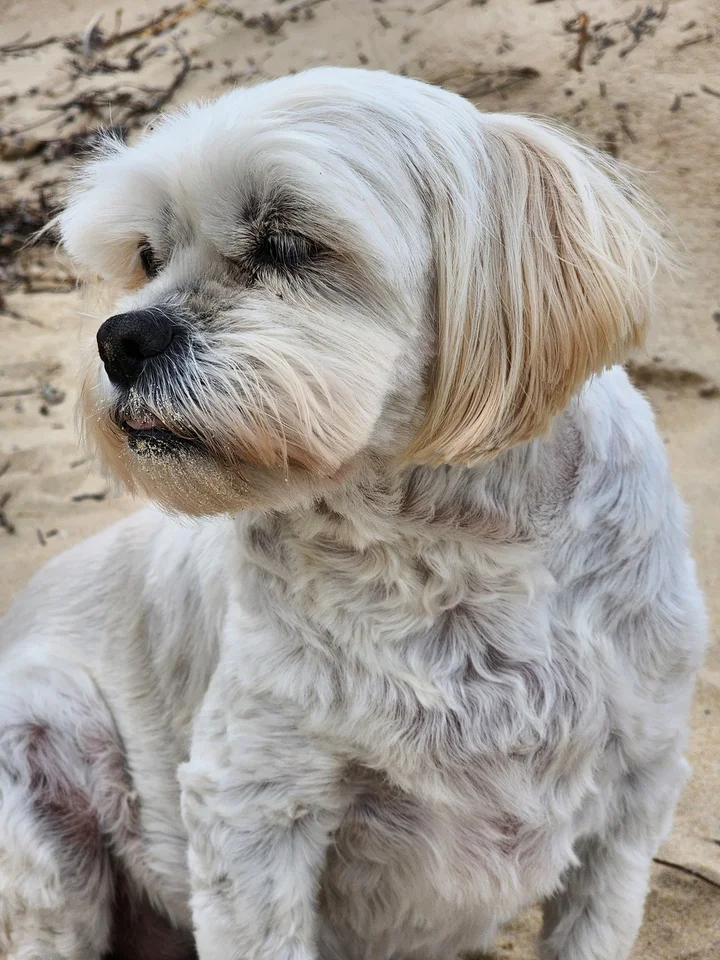 Fur Life Vet reviews | ProductReview.com.au