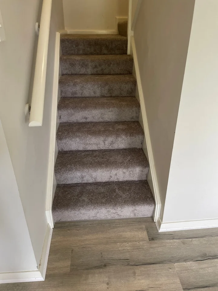 Harvey Norman Carpet Flooring reviews | ProductReview.com.au